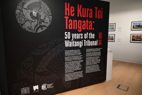 He Kura Toi Tangata: 50 Years of the Waitangi Tribunal | Borrin Foundation